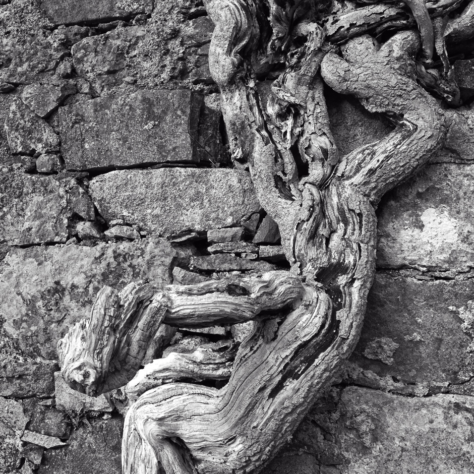 The Blog – Michael Tissington Photography – capturing the essence of ...